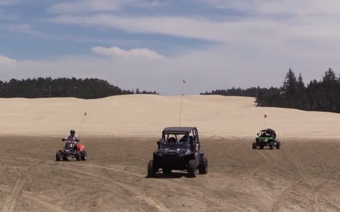 Sand Lake Recreation Area (Sand Lake, Oregon) - Wild ATV