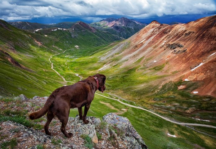 Exploring The Alpine Loop - ATV Colorado - Wild ATV