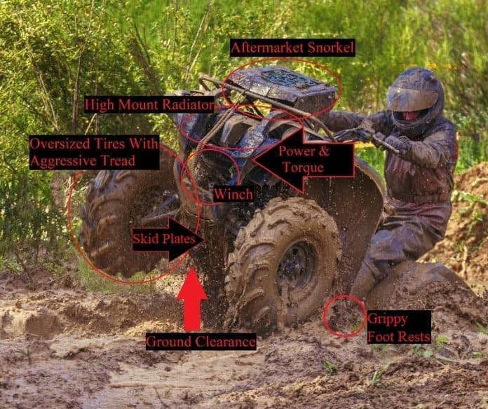 Down And Dirty: Mud ATVs Factory Built For Mud - Wild ATV