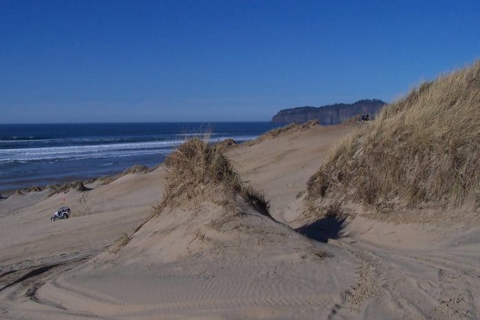 Sand Lake Recreation Area (Sand Lake, Oregon) - Wild ATV