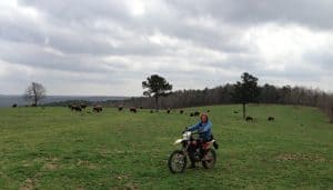 ATV Parks In Arkansas: Trails, Mud and Music - Wild ATV