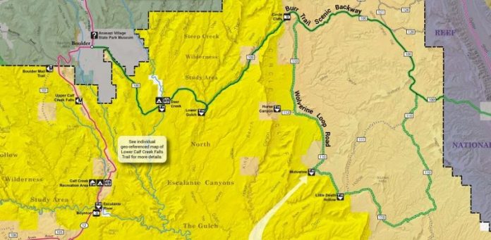 Roundup Of The Best ATV Trails In Utah - Wild ATV