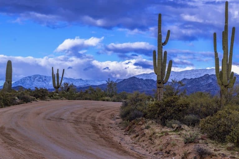 Tonto National Forest ATV Trails Including Bulldog Canyon - Wild ATV