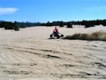 Sand Lake Recreation Area (Sand Lake, Oregon) - Wild ATV