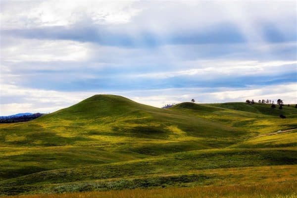Roundup Of The Best Black Hills ATV Trails - Wild ATV