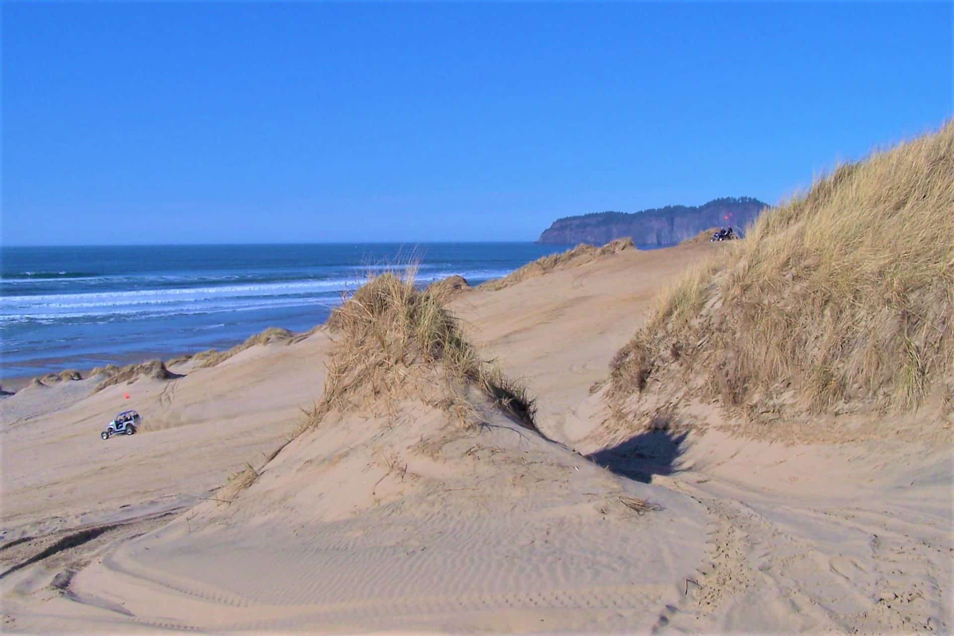 Sand Lake Recreation Area (Sand Lake, Oregon) - Wild ATV