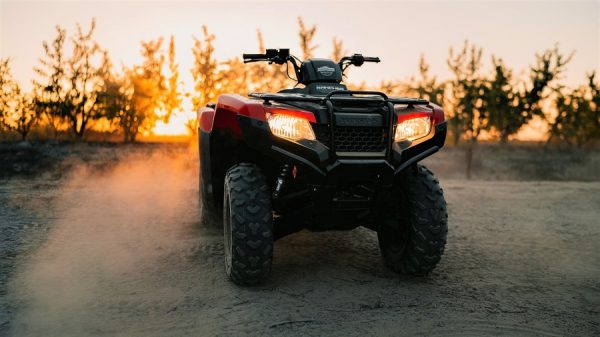 ATV Trails In Florida - Wild ATV