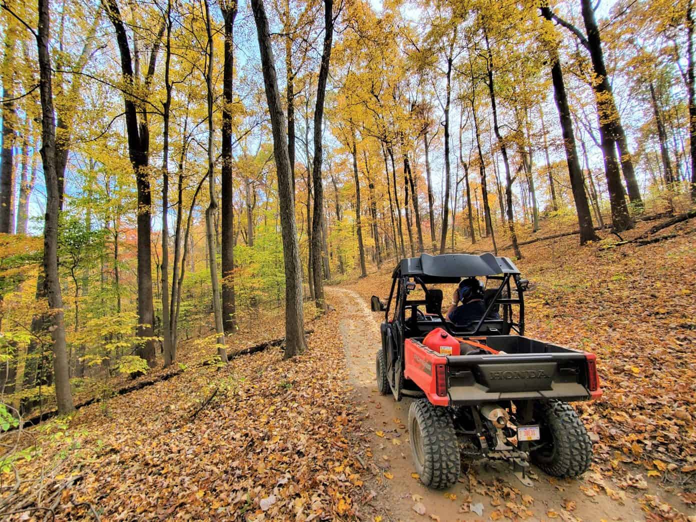 Wayne National Forest - Ohio ATV Trails And Camping - Wild ATV
